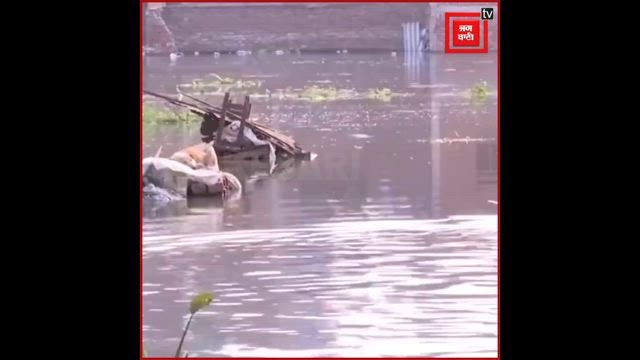 Uttar Pradesh: हिंडन नदी का जलस्तर बढ़ा, Noida के कई हिस्सों में बाढ़ ...