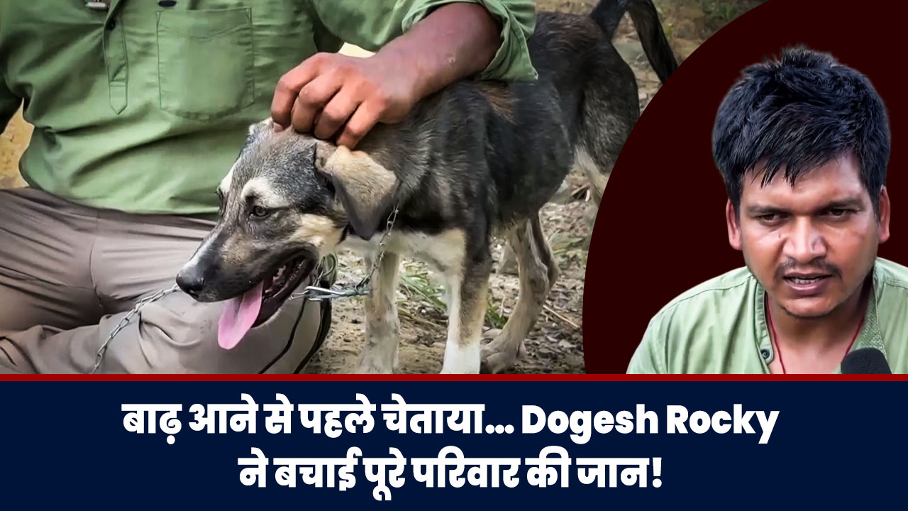 मंडी:बाढ़ आने से पहले चेताया…देखें कैसे Dogesh Rocky ने बचाई पूरे गांव ...