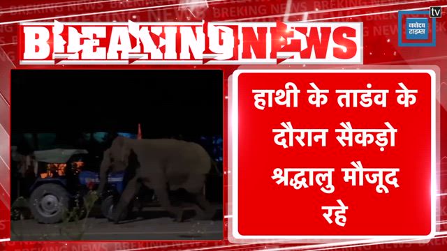 Elephant Attack: देर रात जंगली हाथी का उत्पात,कांवड़ियों से भरी ट्रैक्टर ट्रॉली को पलटी | Kanwar ...