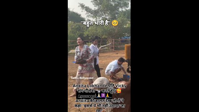 Ankita Lokhande पति Vicky संग गौसेवा 🐄 करते हुए 🥰Ankita की हालत देख ...